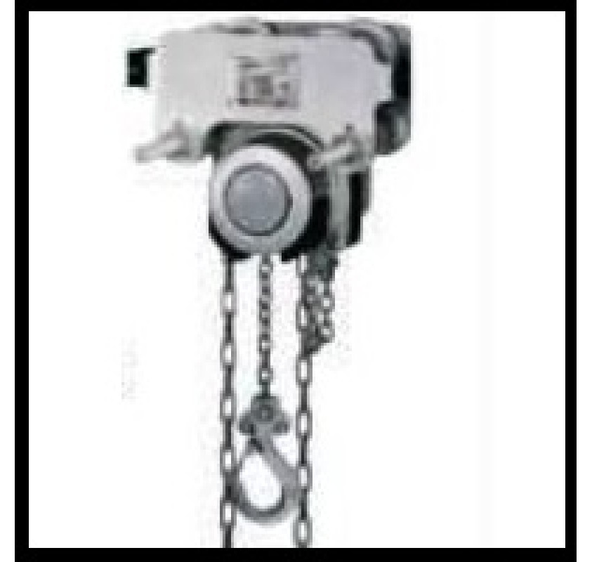 ATEX Yalelift 360 ITP & ITG Chain Block with integrated trolley | LGD