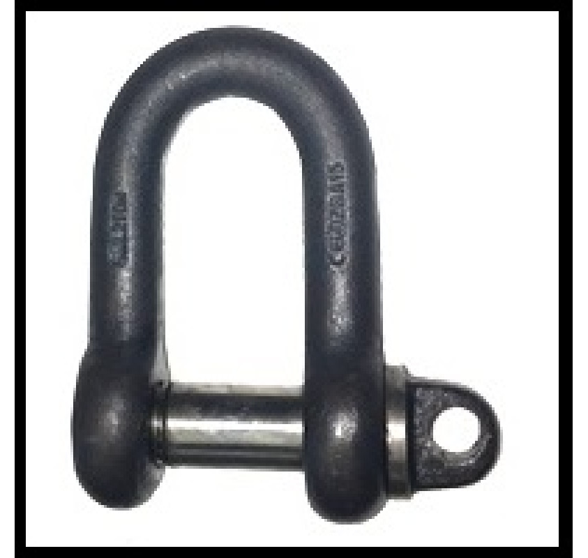 Large D Shackle | Shackles | Lifting Gear Direct UK