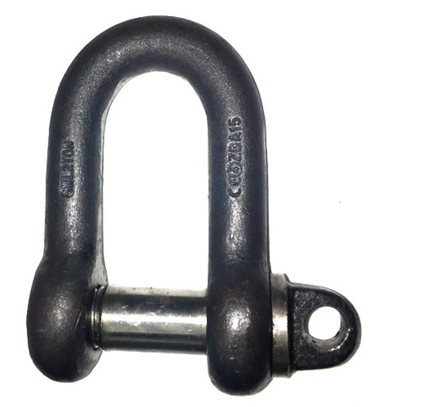 Large D Shackle | Shackles | Lifting Gear Direct UK