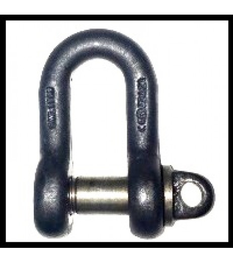 Small D Shackle | Dee Shackles | Lifting Gear Direct UK